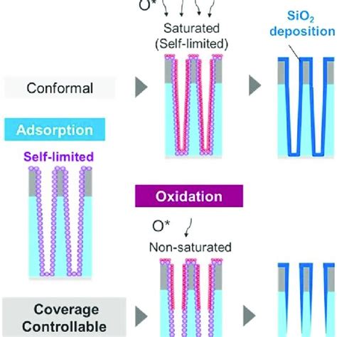 Color Online Schematic Diagram Of The Harc Etch Process Flow With Ald Download Scientific