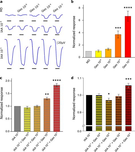 Olfactory Receptor Neuron Responses A Example Of Eag Responses