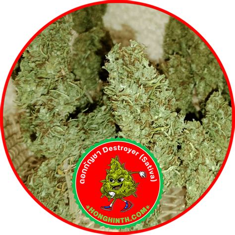 รายละเอียด สินค้ากัญชา 2023 วิสาหกิจชุมชนหงส์หินก้าวไกล