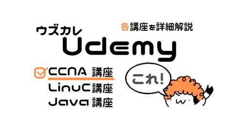 【無料で始める】udemy Ccna講座の内容と評判を徹底解説【ウズウズカレッジ】 せんなき先生のitカリキュラム