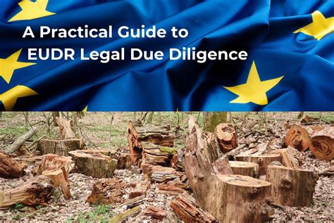 A Practical Guide To Eudr Legal Due Diligence — Tract