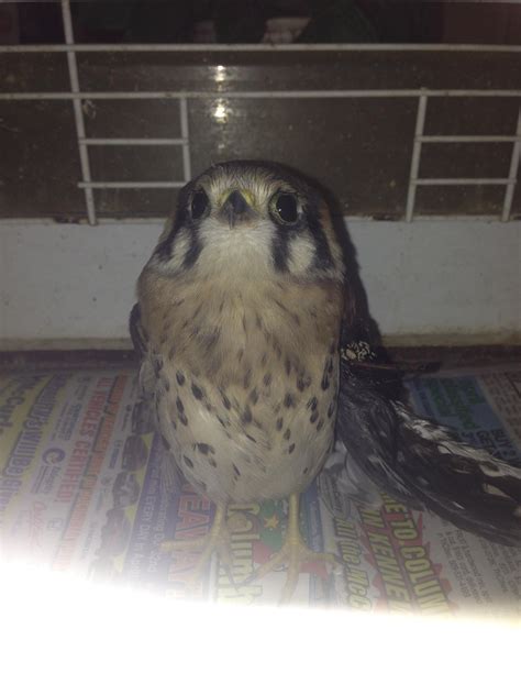 Look What My Sister Found On Her Doorstep Yesterday R Aww