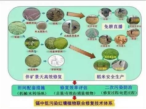 土壤微生物修复技术 公司动态 新闻中心 江西洁地环境治理生态科技有限公司