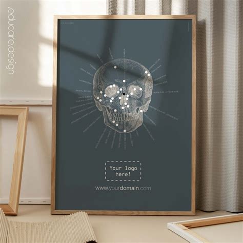 Cranial Bones Anterior Educaredesign