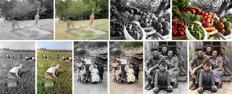 7 Best Computer Vision Projects With Source Code 🚀