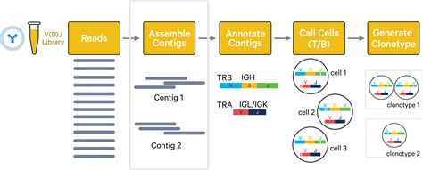 assembly algorithm software single cell immune profiling official