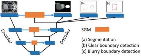 blurry boundary segmentation with semantic aware feature learning