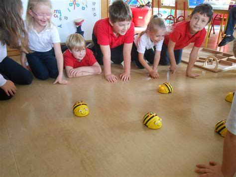 Dancing Bee Bots Togher Ns