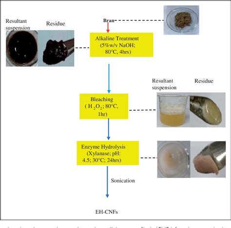 Figure 1 From An Environmentally Friendly Method For The Isolation Of Cellulose Nano Fibrils