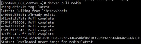 Docker容器部署 Redis服务 Silent s Blog 博客园