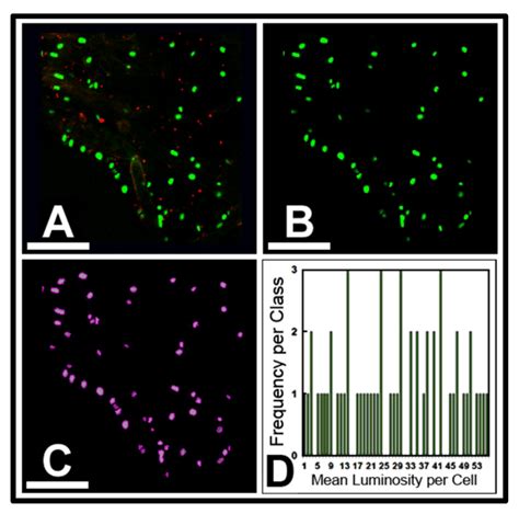 Diversity Special Issue Microbial Ecology And Diversity