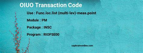 OIUO SAP Tcode For Func Loc List Multi Lev Meas Point
