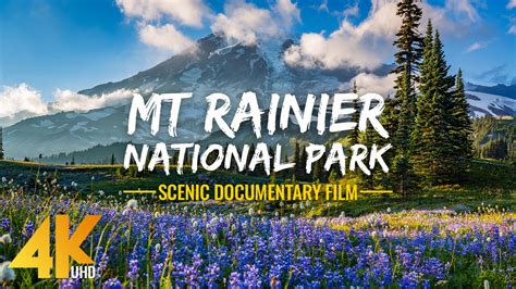 Uniqueness Of Mt Rainier National Park Nature Documentary Film