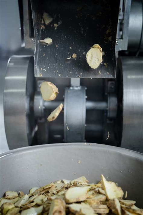 Kava Production Processing Steps And Importance