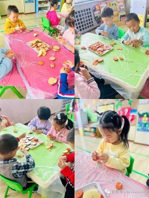 晒秋——孩子们遇见秋天就会产生不一样的惊喜 新启蒙艺术幼儿园