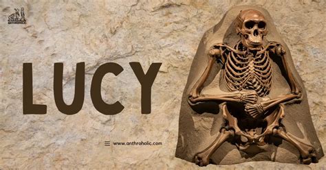 Lucy Fossil Anthroholic