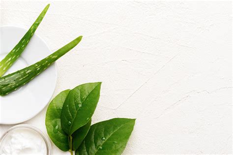 신선하고 천연 알로에 베라 화장품 배경 Emty 공간 핸드메이드 스킨 케어 제품 얼굴 치료 준비 및 피부 상쾌한 크림 배경 천연 화장품과 플랫 레이 조성물 배경 주제에 대한