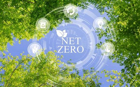 What Is Net Zero The Goal Of Net Zero Emissions By 2050 Kamereo