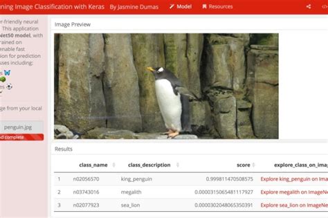 deep learning image classification with keras and shiny r bloggers