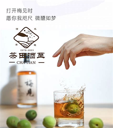 茶田logo设计麦吉创意 站酷zcool