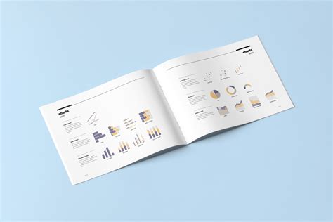 Data Visualization Guidelines Behance