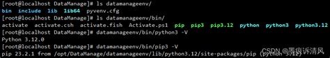 Linux 离线安装最新python312设置独立virtualenvvenv环境linux安装python312 Csdn博客