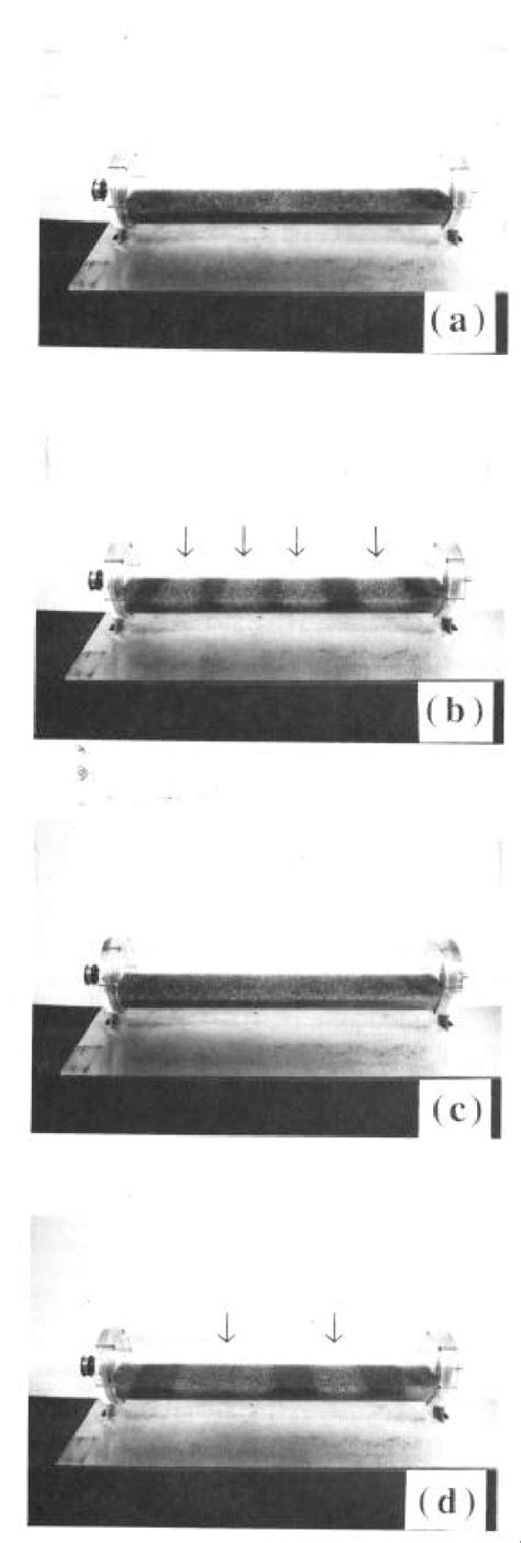 Figure 1 From Reversible Axial Segregation Of Binary Mixtures Of Granular Materials Semantic