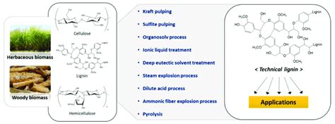 Processes For The Extraction Of Technical Lignins Download Scientific Diagram