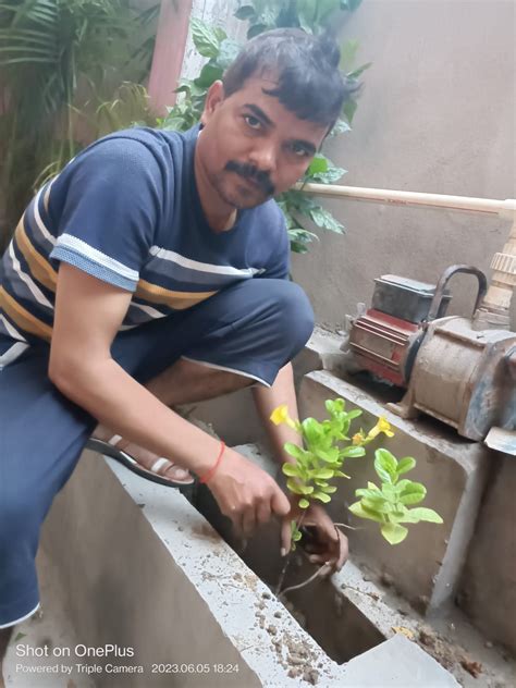 विश्व पर्यावरण दिवस पर रे0 आफ होप संस्था द्वारा चलाया गया जन जागरूकता कार्यक्रम