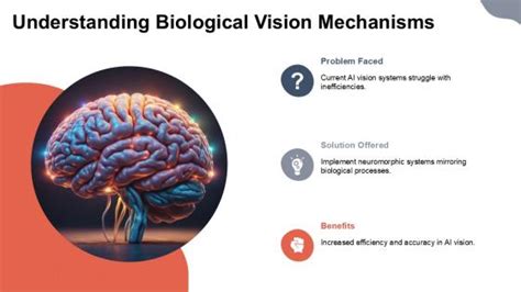 Biological Vision Powerpoint Presentation And Slides Ppt Powerpoint
