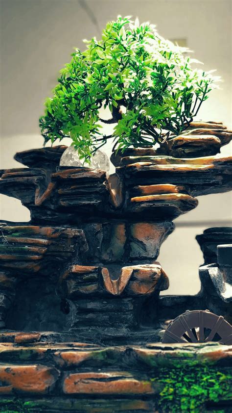 Top Tree Seen K Phone Wallpaper