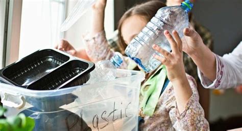 Ie Envases De Plástico No Reutilizables Normas De Gestión