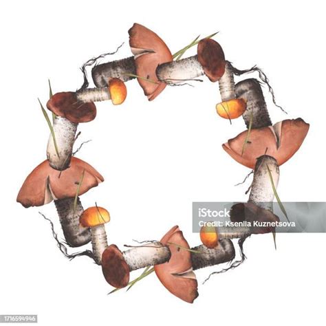 포르치니 버섯 화환 텍스트에 대한 둥근 프레임 템플릿입니다 식용 버섯의 수채화 그림입니다 배경 디자인 포장 직물 가을에 대한 스톡 벡터 아트 및 기타 이미지 Istock