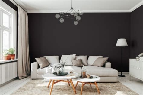 Rust Oleum SureColor Interior Eggshell Paint Primer Black Fl Oz Fred Meyer