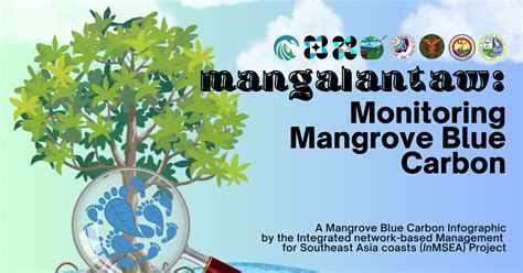 Mangalantaw Monitoring Mangrove Blue Carbon Mangrove Ecology