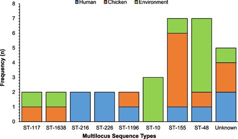 Multilocus Sequence Types For Pmqr Escherichia Coli Isolates N 70 Download Scientific