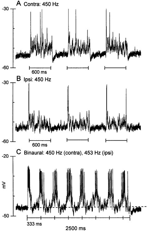 An Itd Sensitive Neuron That Responded With Excitation To Stimulation Download Scientific