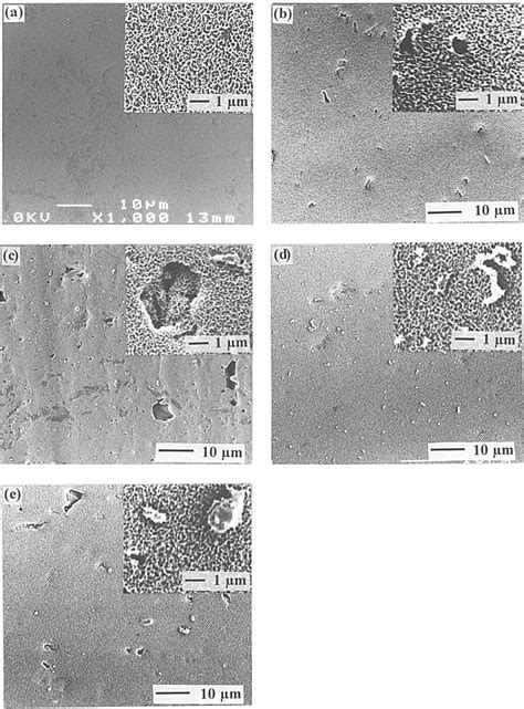 FE SEM Images Of The Surface Morphology Of Specimens A I B II C Download Scientific