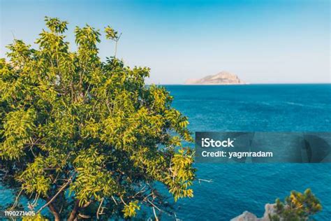 터키에서 화창한 날에 지중해 바다 풍경 바다와 나무와 여름 날 풍경입니다 푸른 바다와 하늘과 산 풍경 지중해 또는 에게 해에서 경관에 대한 스톡 사진 및 기타 이미지