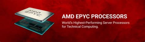 AMD EPYC AMD Processors For Data Centers And Servers