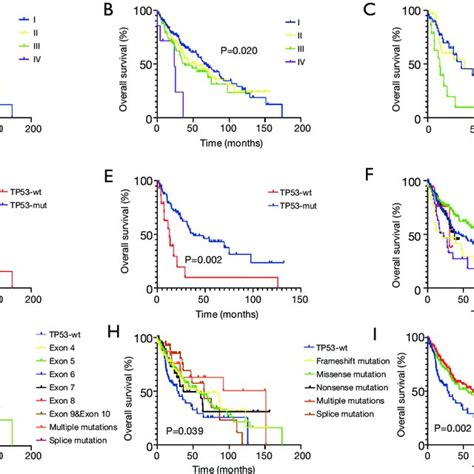 Survival Curves Of Patients Carrying Tumor Protein P53 Tp53