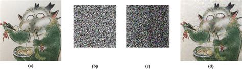 A Input Image B Dragon Image Of Compressed Value C Images With Download Scientific