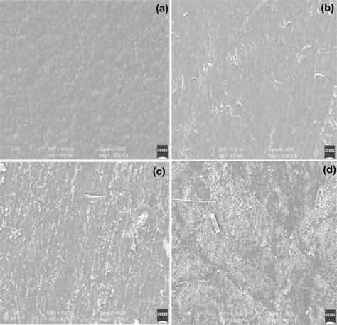 SEM Images Of A LDPE B UV Treated LDPE C UV And Chemically Treated Download Scientific