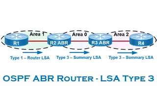 OSPF Part OSPF Neighbor States OSPF Neighbor Forming Process