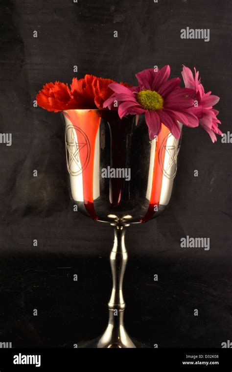 Fleur De Calice Banque De Photographies Et Dimages à Haute Résolution