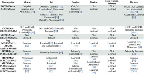 Confirmed Localization Of Atp Binding Cassette Abc And Solute Carrier Download Scientific