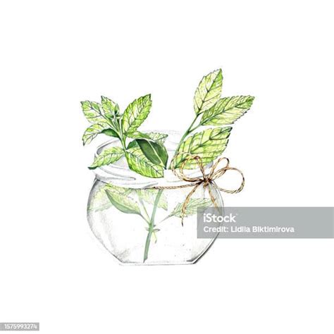 스케치 스타일의 수채화 요소 세트입니다 나뭇잎과 꽃과 밝은 민트입니다 차 세트 엽서와 디자인을 위해 수채화에 대한 스톡 벡터