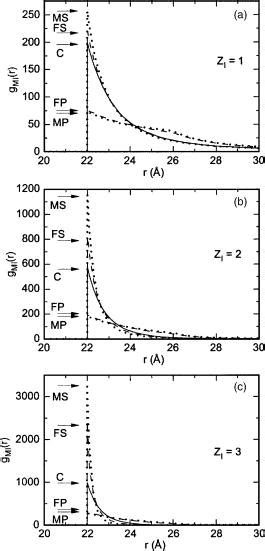 Macroion Counterion Radial Distribution Functions With Counterion Download Scientific Diagram