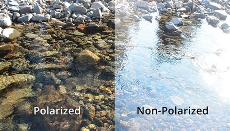 Polarized Vs Non Polarized Sunglasses Whats The Difference