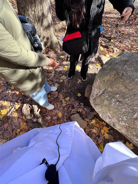 Speculative Futures Technical Planning And Execution By Fiona Wang Medium